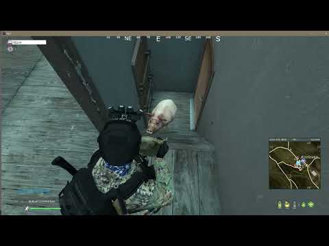Steam Community :: Video :: Pigs Fly! DAYZ clip