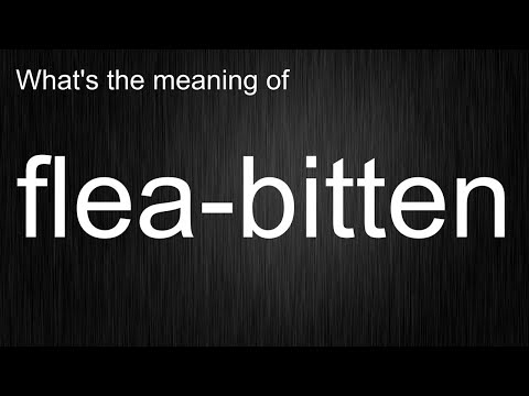 What's the meaning of "flea-bitten", How to pronounce flea-bitten?
