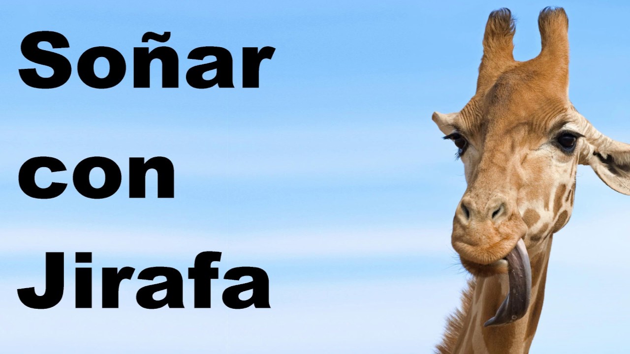 Jirafa - Soñar con jirafa o jirafas