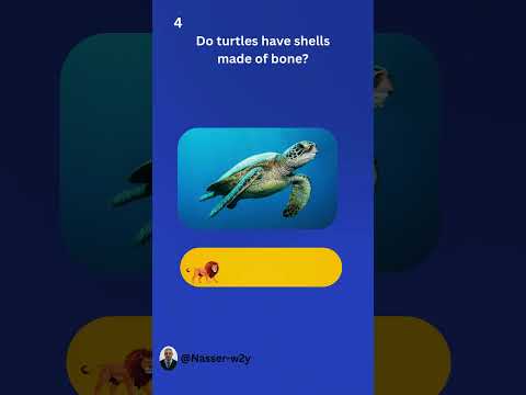 V1 Animal Quiz "How wild is your knowledge?" 🦁