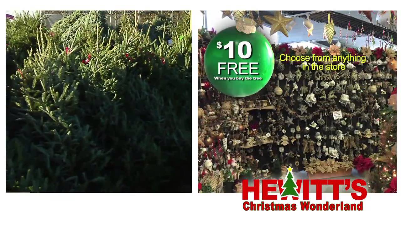 Hewitts Fresh Cut Tree $10 FREE