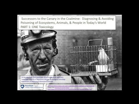 Diagnosing and Avoiding Poisoning of Ecosystems, Animals, and People: Part 1: OneToxicology