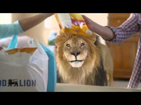 Food Lion Feeds Commercial