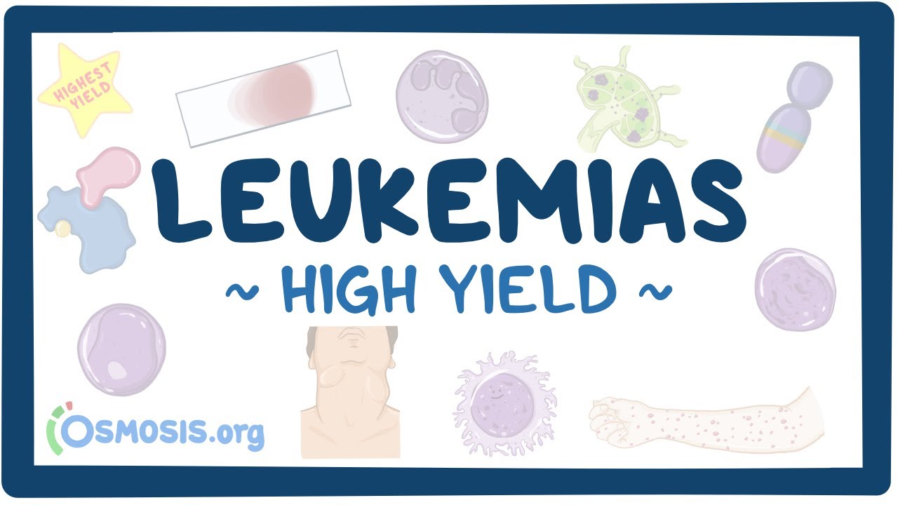 Leukemias: Pathology review