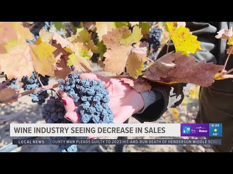 Wine industry seeing decrease in sales