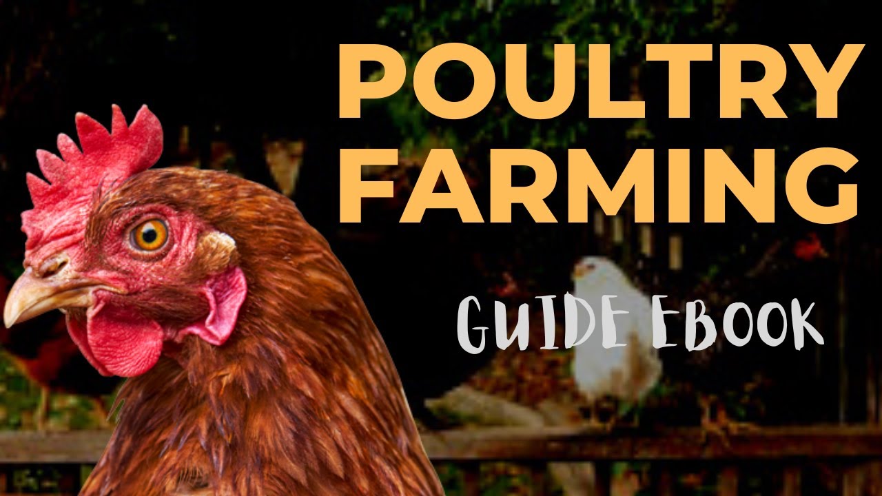 Poultry Farming Guide Book Pdf