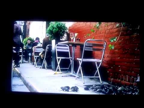 Was The Freaky Rats Commercial For FX's 'The Strain'