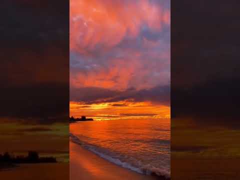 #short #AAR # sunset #scenery #orange #bgm #love