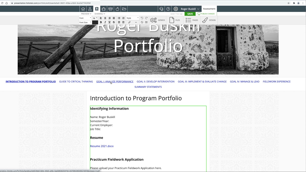 540 portfolio instructions