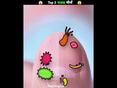 Airoplane की Engine पर सफेद Design😱।। @MRINDIANHACKER @CrazyXYZ #shorts #factsinhindi #factshorts