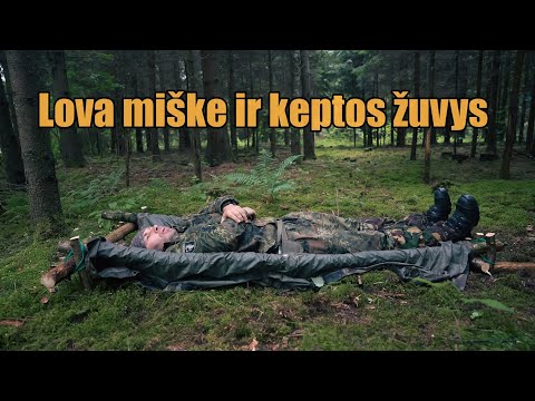 Gaminu lovą miške ir maistas iš gamtos