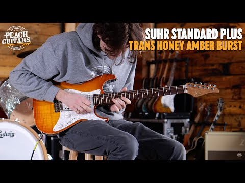 Suhr Standard Plus Trans Honey Amber Burst Pau Ferro | Reverb
