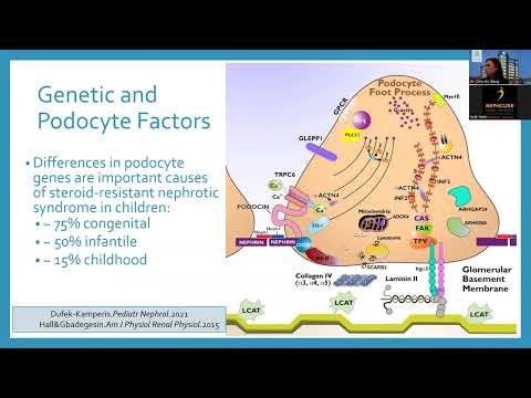 NephCure U: How to Take Control of Your Rare Kidney Disease