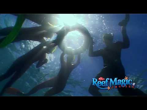 Great Barrier Reef Cruise with Reef Magic
