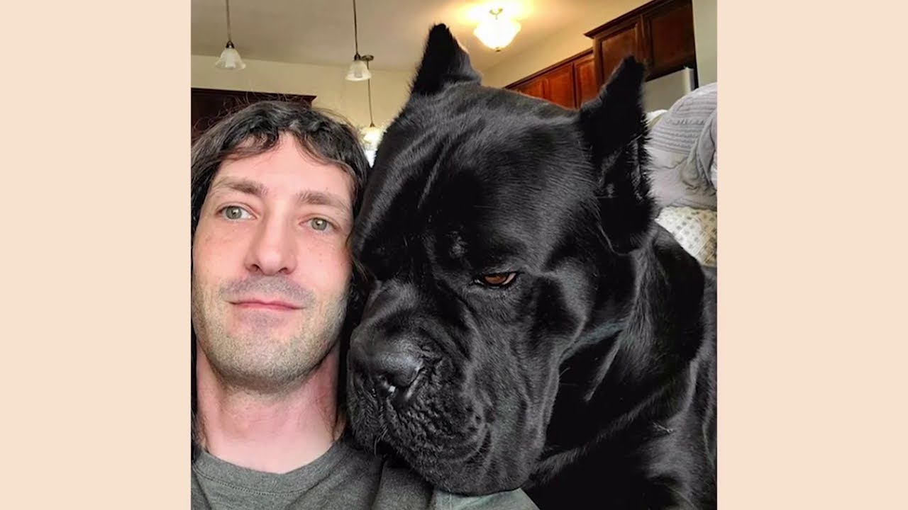 r/Awww | LOOK AT THIS DUDE!