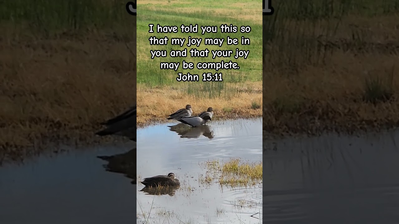 Finding True Joy in Christ: 3 Bible Verses for Believers | Joy Restoration Ministry #gospelmusic