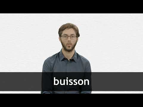 English Translation of “BUISSON” | Collins French-English Dictionary