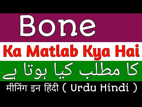 Bone Meaning | Bone Meaning In Urdu Hindi | Bone Ka Matlab Kya Hai | Bone Ka Meaning Kya Hai