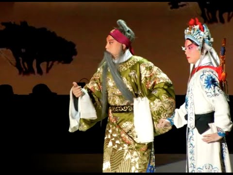 Films of Peking Opera Debut at International Film Festival