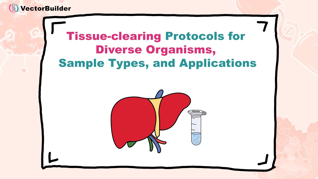 Tissue-clearing Protocols for Diverse Organisms, Sample Types, and Applications