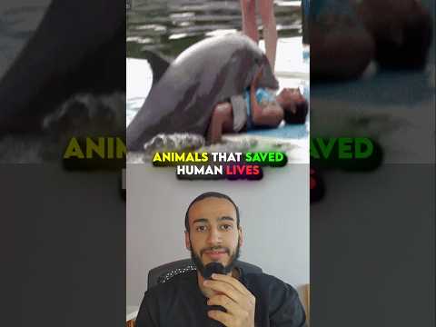 Animals That Saved Human Lives????