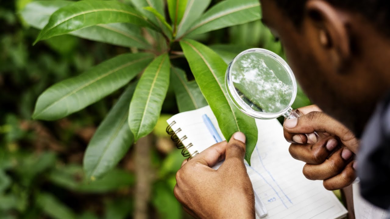 25 de Enero día del Biólogo 👨‍⚕️