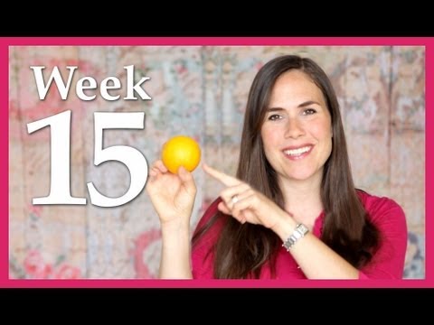 My Pregnancy @ 15 Weeks + Belly Shot