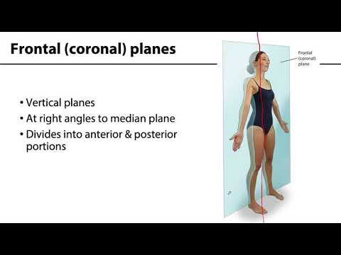Anterior Neck and Thorax LO 3 - Anatomical Planes