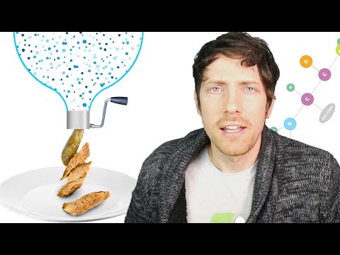 Meat from Air?! The Science Behind This New Protein