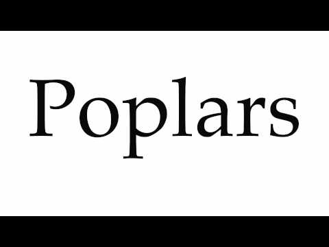 How to Pronounce Poplars
