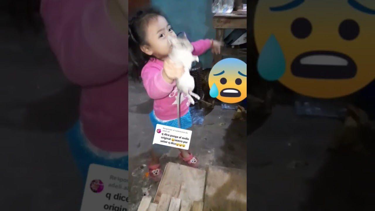 INCREIBLE NIÑA ATRAPA RATA GUGANTE CON SUS MANOS 😱😱 #viralvideo #viralshorts #ratas #shortvideo