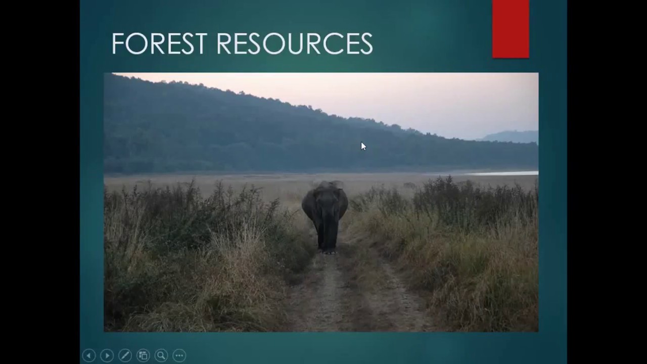 PPT on Forest Resources