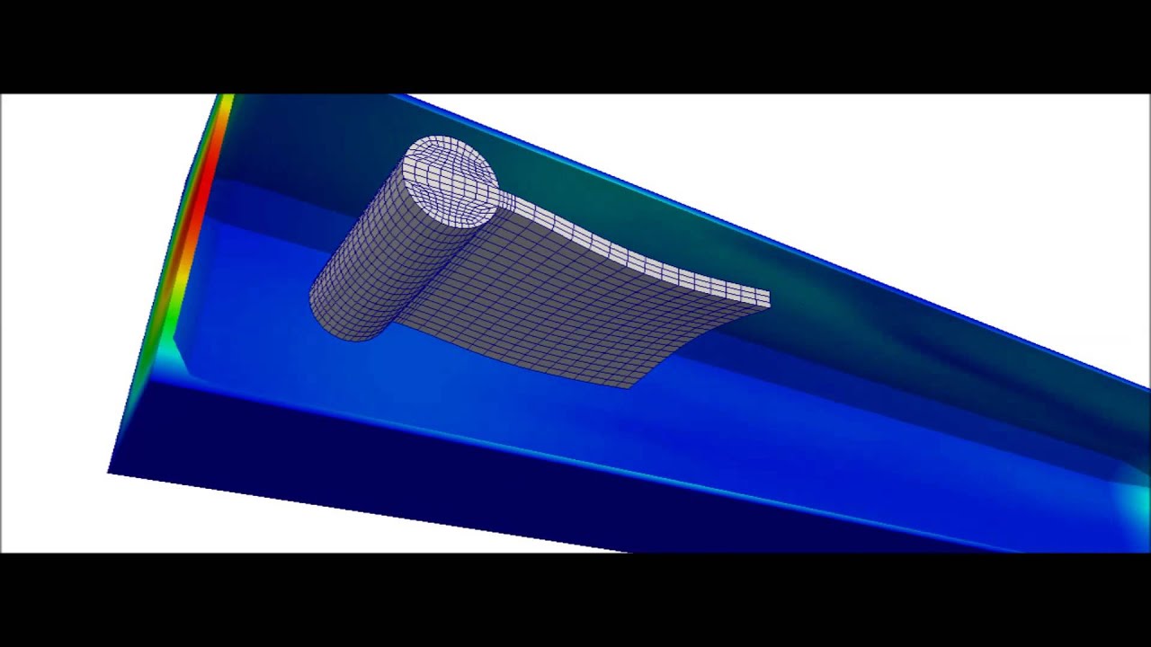 Transient Fluid-Structure Interaction