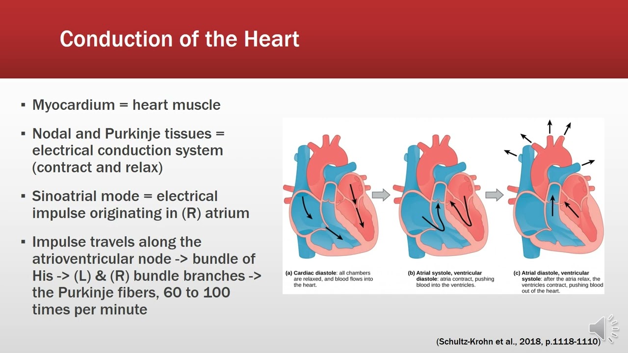 Cardiac Diseases and the Role of Occupational Therapy Recorded PPT