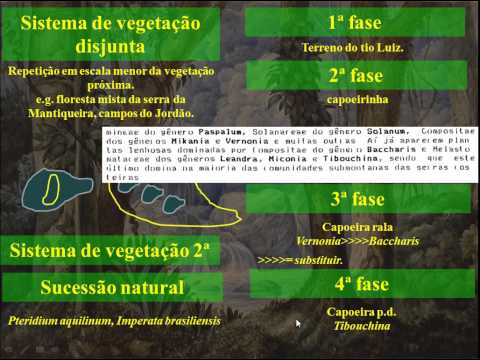 Fitogeografia do Brasil VII parte final