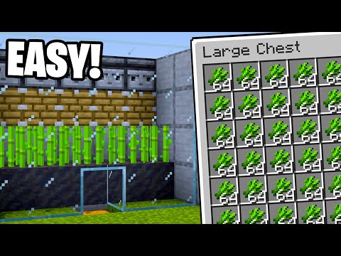 Sugarcane Farm Minecraft 1.21.6!  [JAVA & BEDROCK]