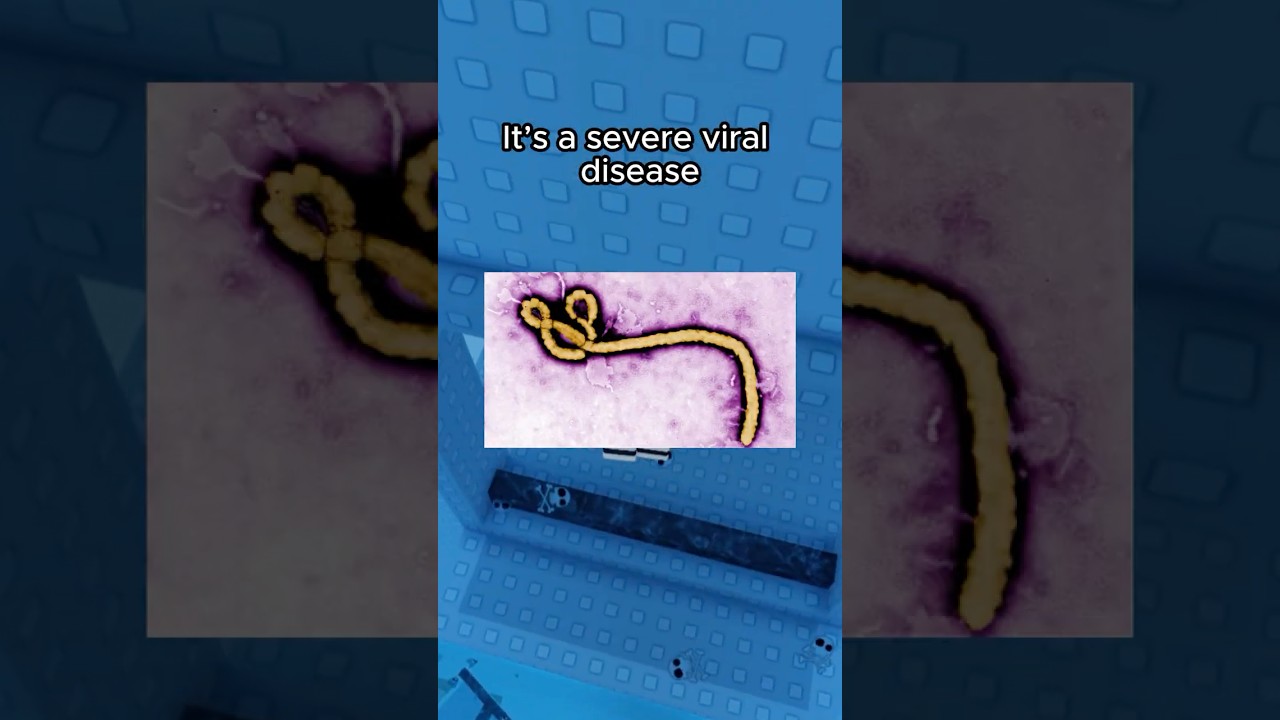 Ebola Outbreak 2026 Explained... 😬 #ebola #outbreak #virus #explained #robloxrant