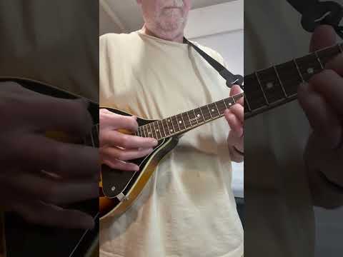 Johnson A Model MA-100 Mandolin 2000s - Sunburst | Reverb
