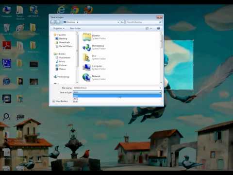 How To Take A ScreenShot (Simple)