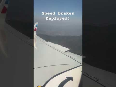 Speed brakes deployed!#aviation #airplane #shorts