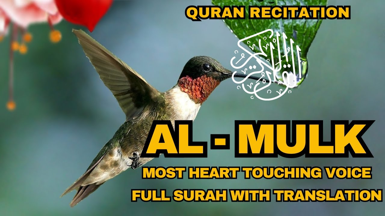 Surah Al Mulk سورة الملك Best Relaxing Quran Recitation Full Arabic English