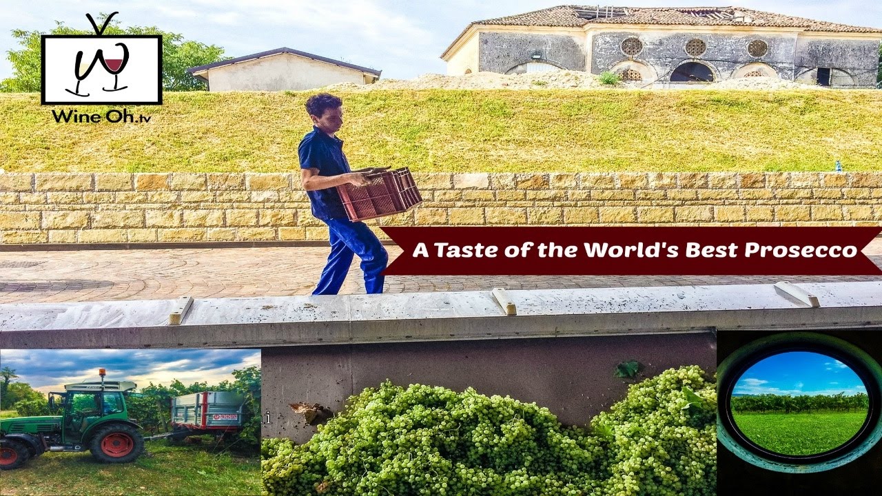 Taste The World's Best Prosecco With Masottina Winery | Conegliano Veneto | Wine Oh TV