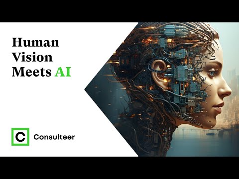 Human Vision Meets AI