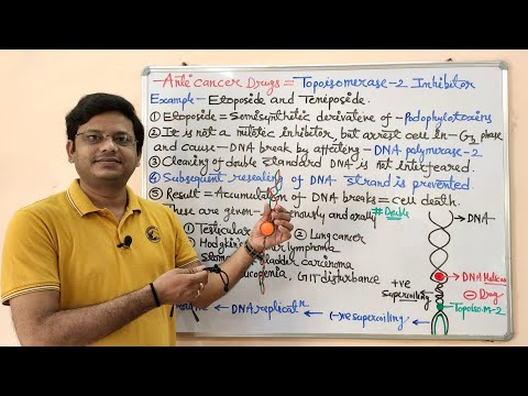 Etoposide Injection - Toposar Latest Price, Manufacturers & Suppliers