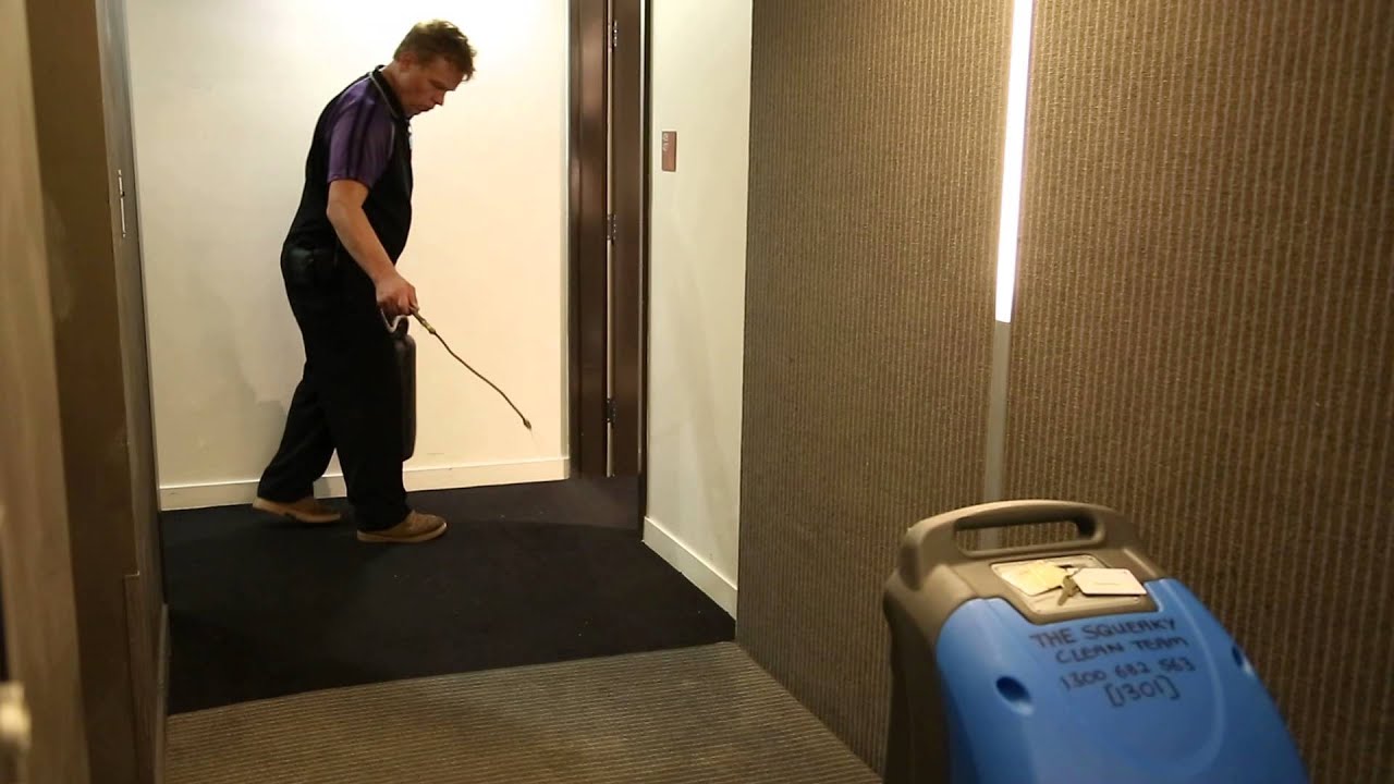 The Squeaky Clean Team - Carpet Cleaning