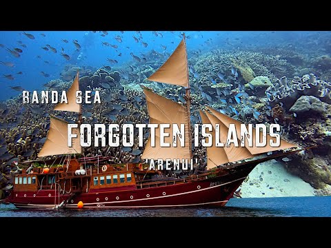 Exploring the Forgotten Islands Banda Sea aboard the Arenui