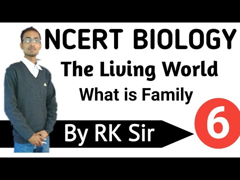 NCERT BIOLOGY |What is Family|The Living World|Definition and Examples of Family