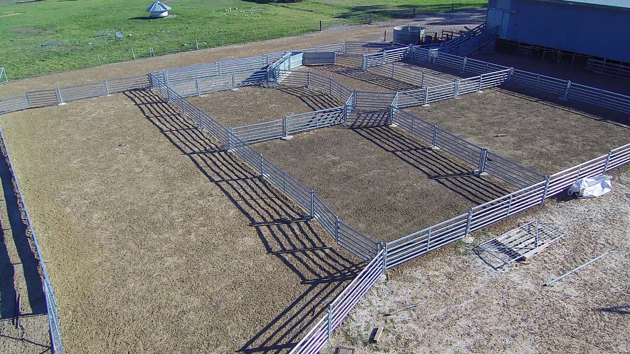 Sheep yards- Gnowangerup