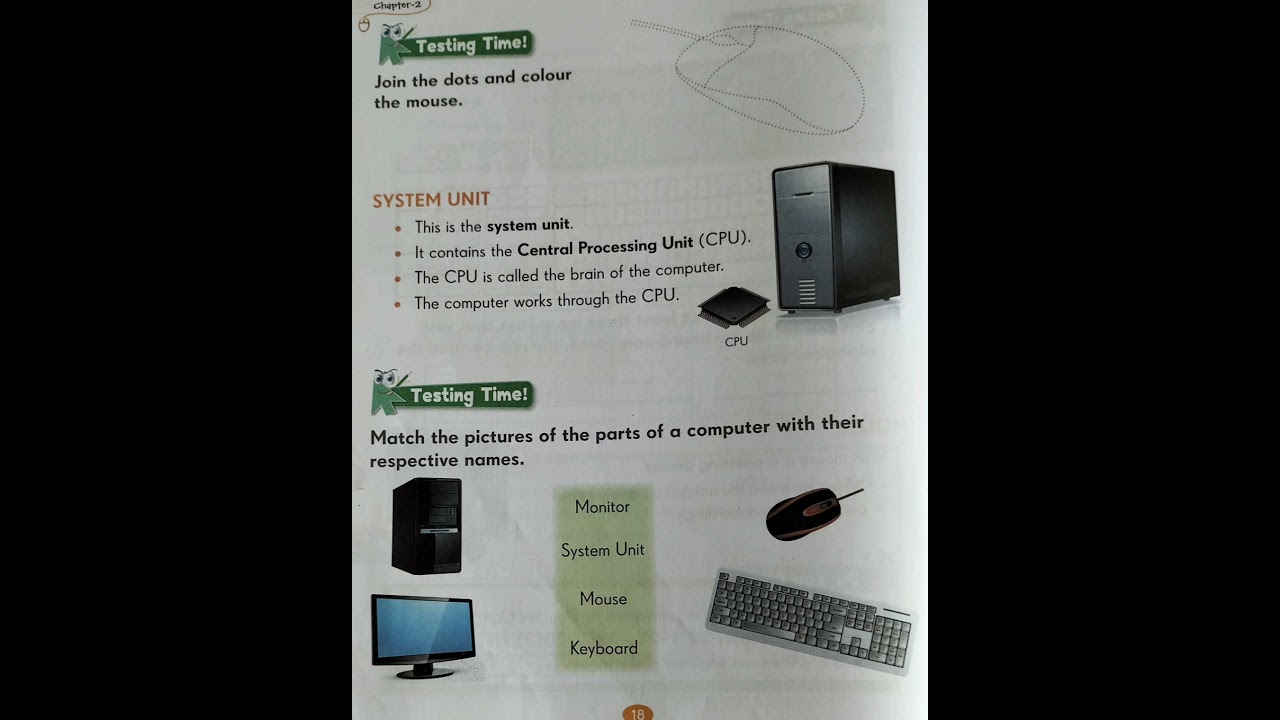 computer worksheet #3