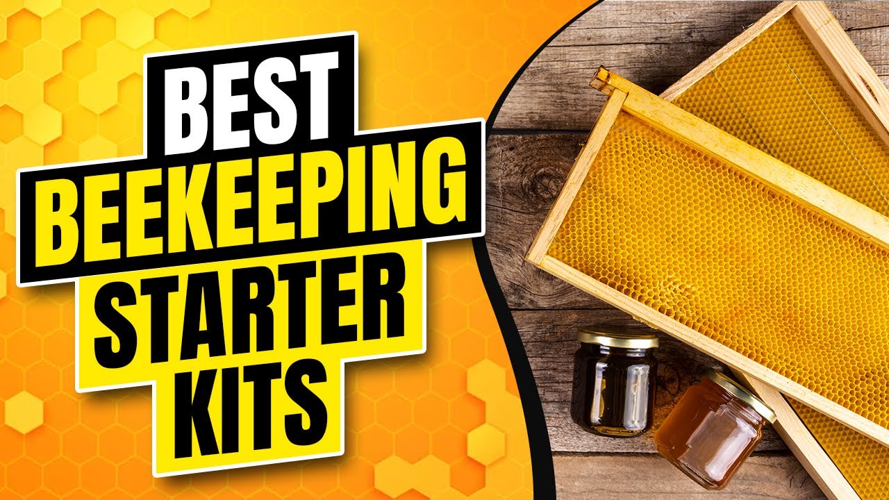 Best Beekeeping Starter Kits for Beginners in 2023